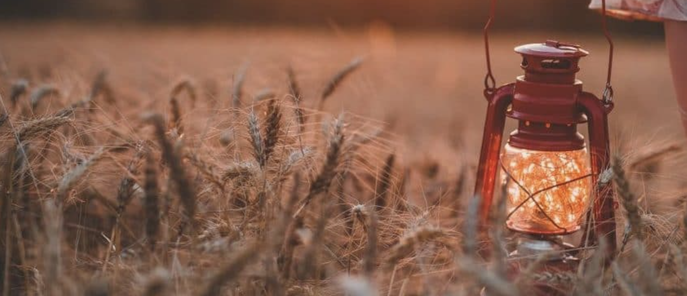 A Year in the Light ~ An Update from Dominican Center - Dominican ...