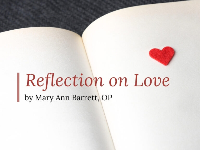 Reflection on Love - Dominican Sisters Of Grand Rapids